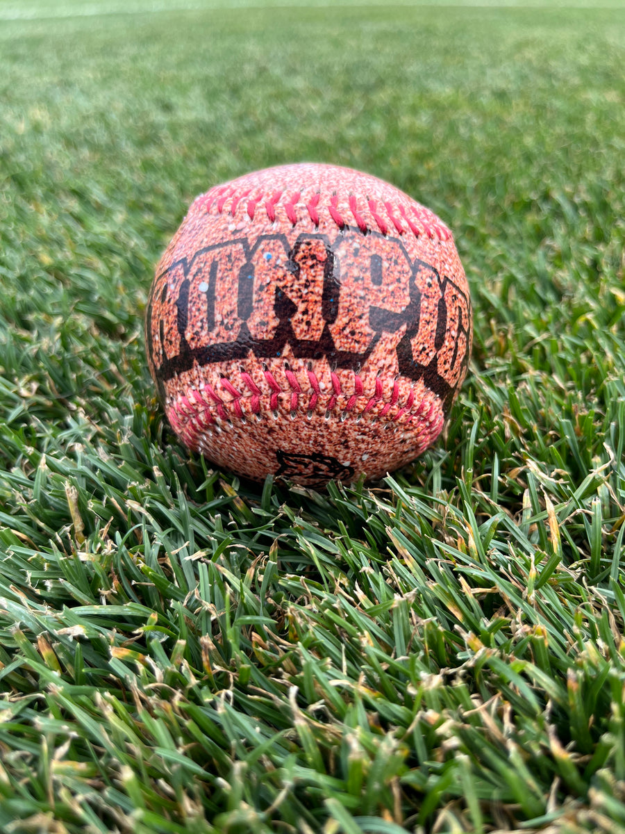 Lehigh Valley IronPigs Dirtball Baseball – Lehigh Valley IronPigs ...