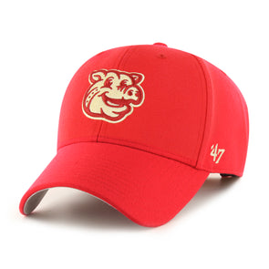Lehigh Valley IronPigs Retro Friday Collection – Lehigh Valley IronPigs ...